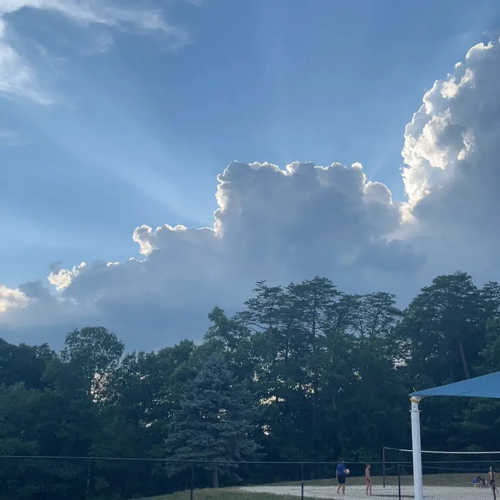 Summer E's Post|Lemon8