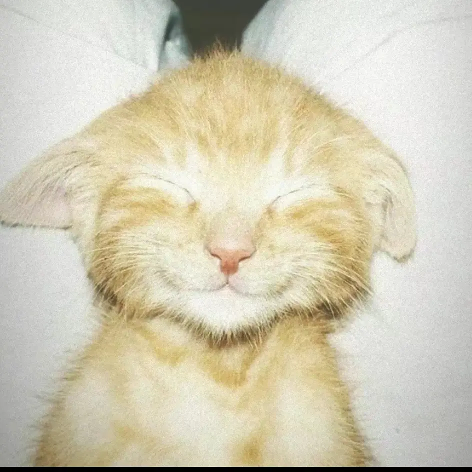 Maxine Burnett's Post|Lemon8