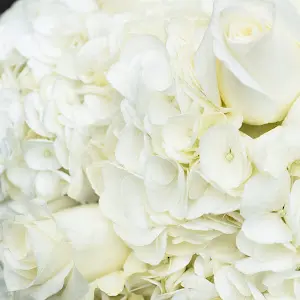 Hydrangea Homeさんの投稿|Lemon8