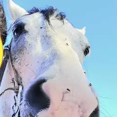 Karlita Orozco's Post|Lemon8