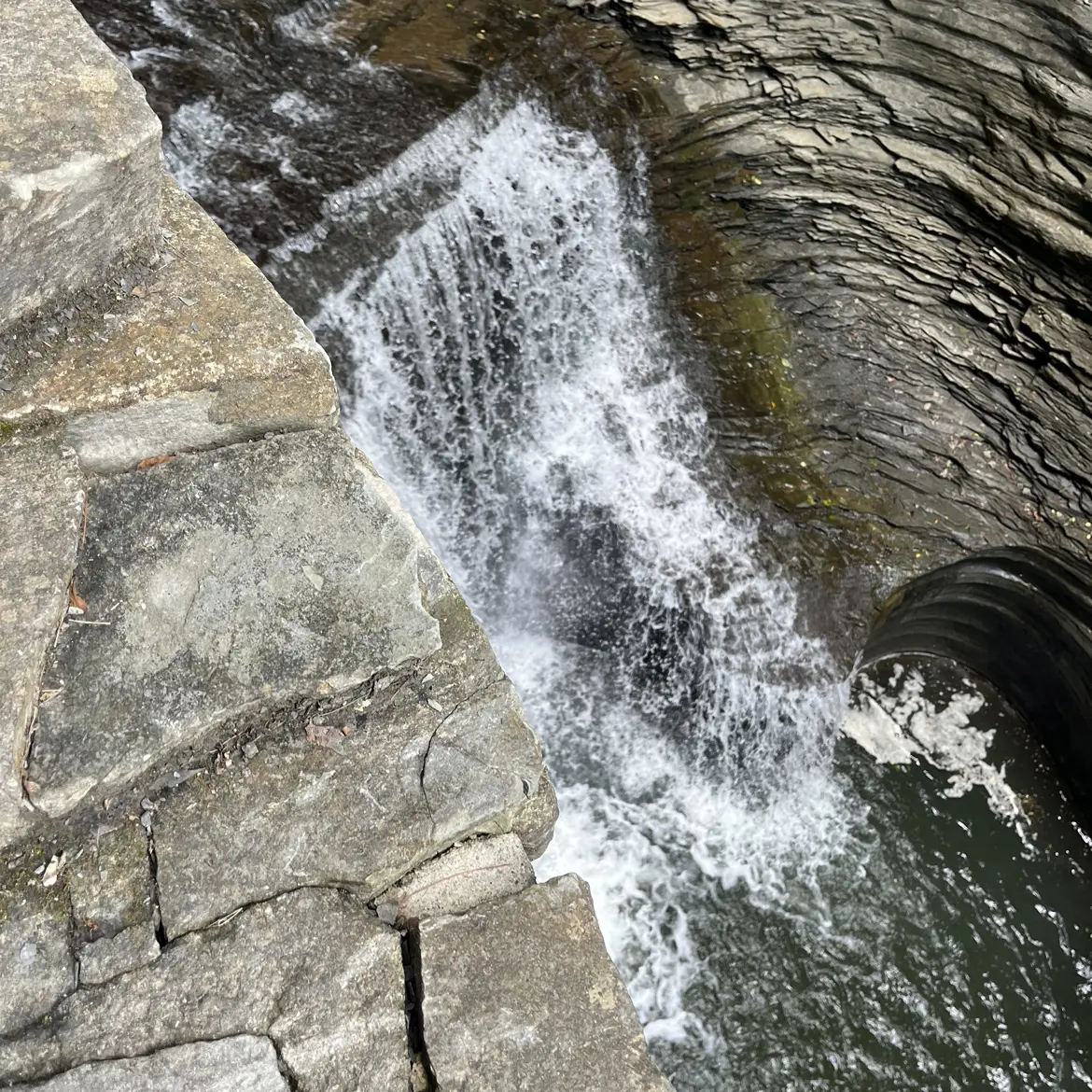 Sophia's Post|Lemon8