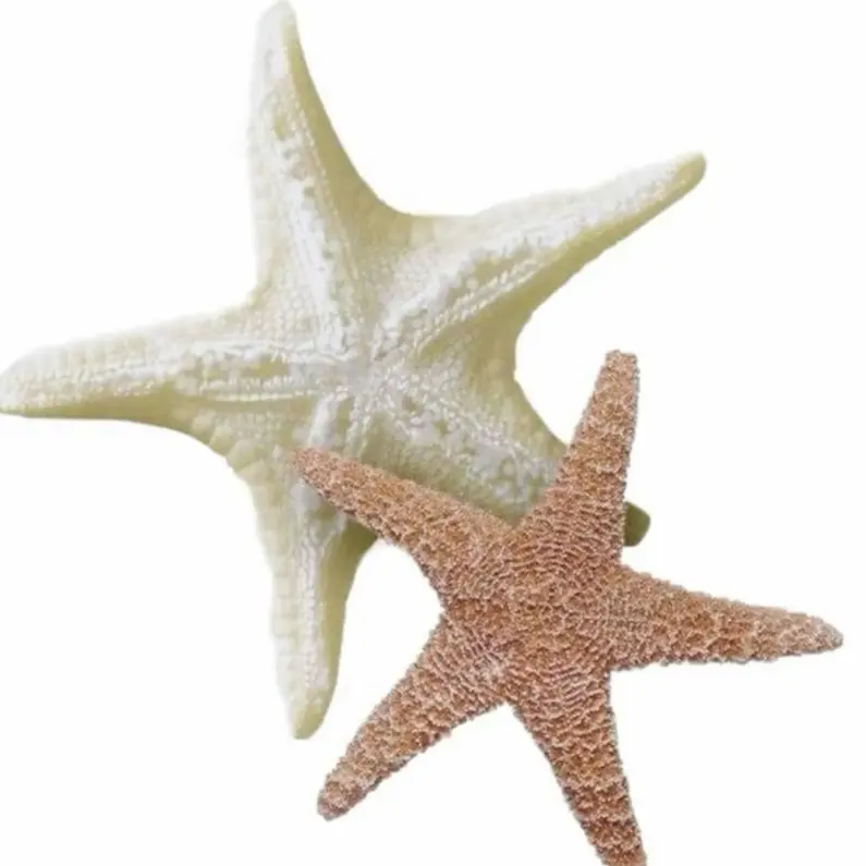 rUby!!🫧🌊's Post|Lemon8