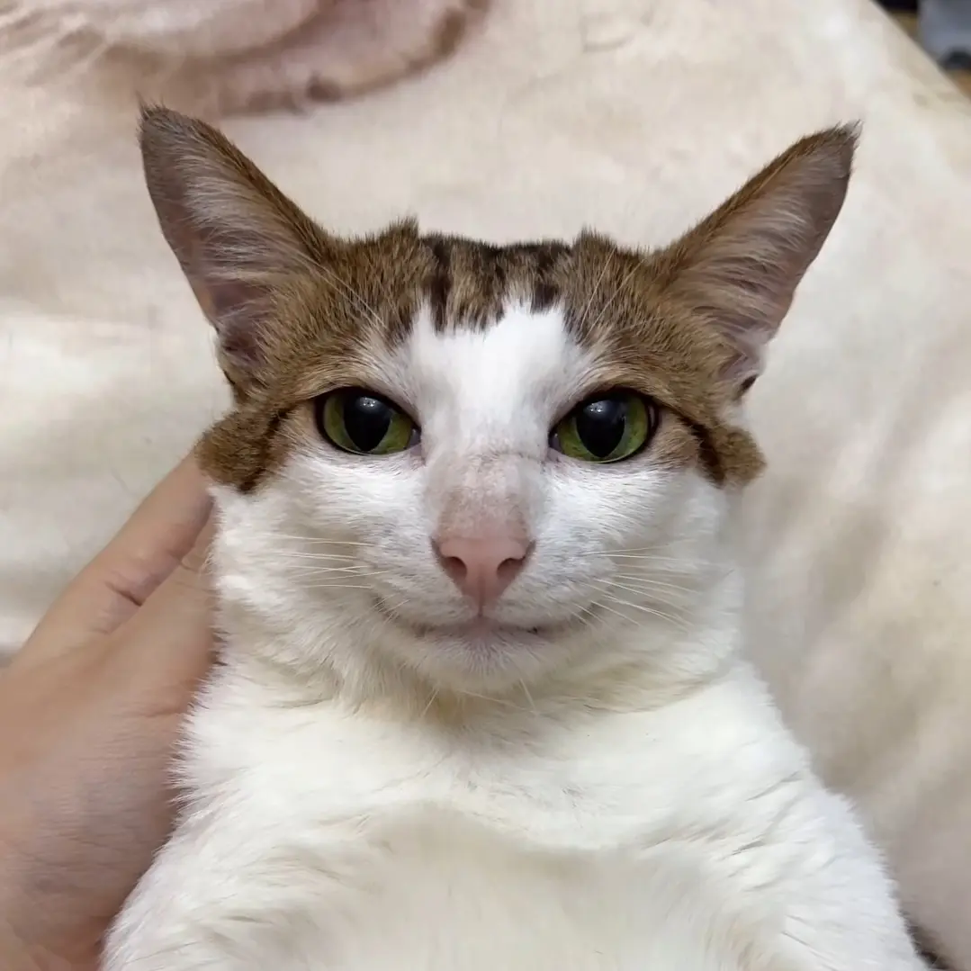 punn_y's #1 Fan's Post|Lemon8