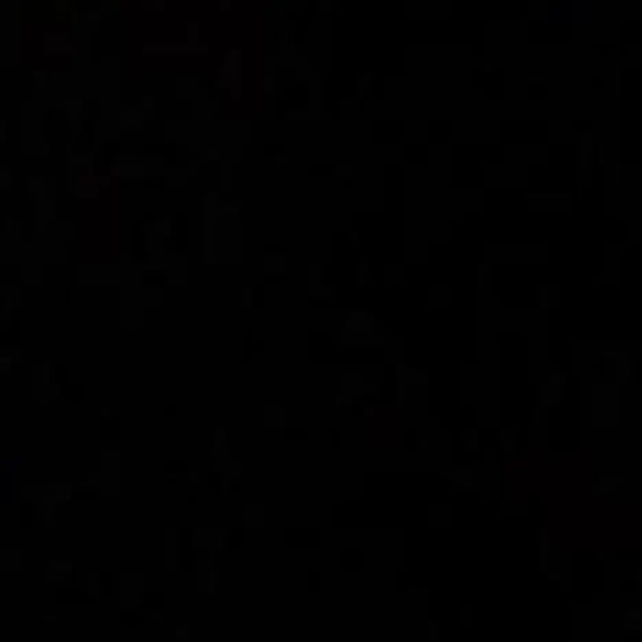 Phoebe's Post|Lemon8