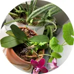 Maria Bee's Post|Lemon8