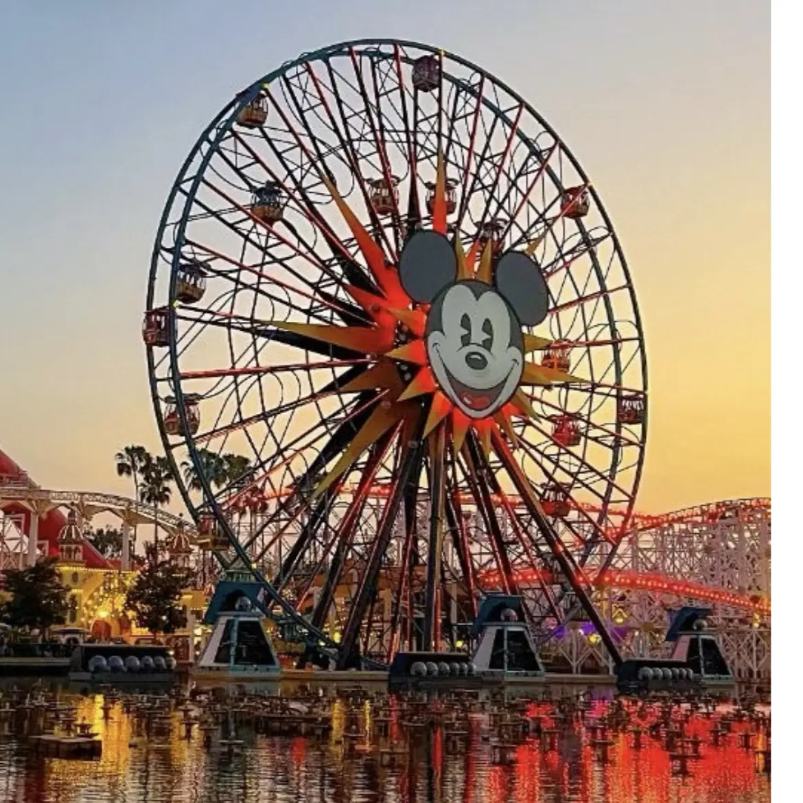 SaNdRa さんの投稿|Lemon8