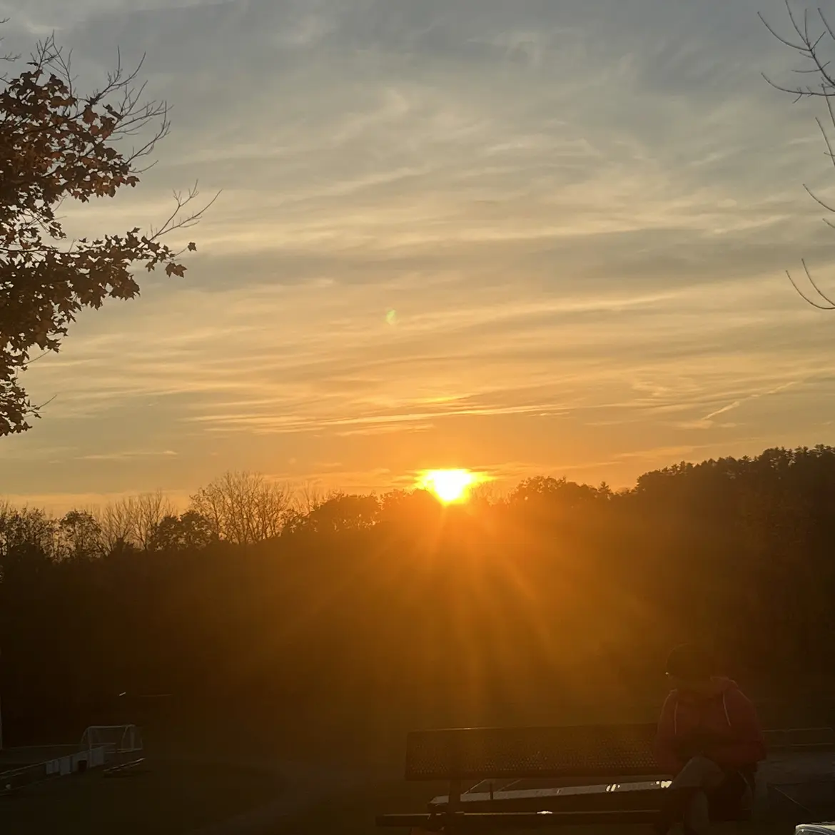 Stella's Post|Lemon8