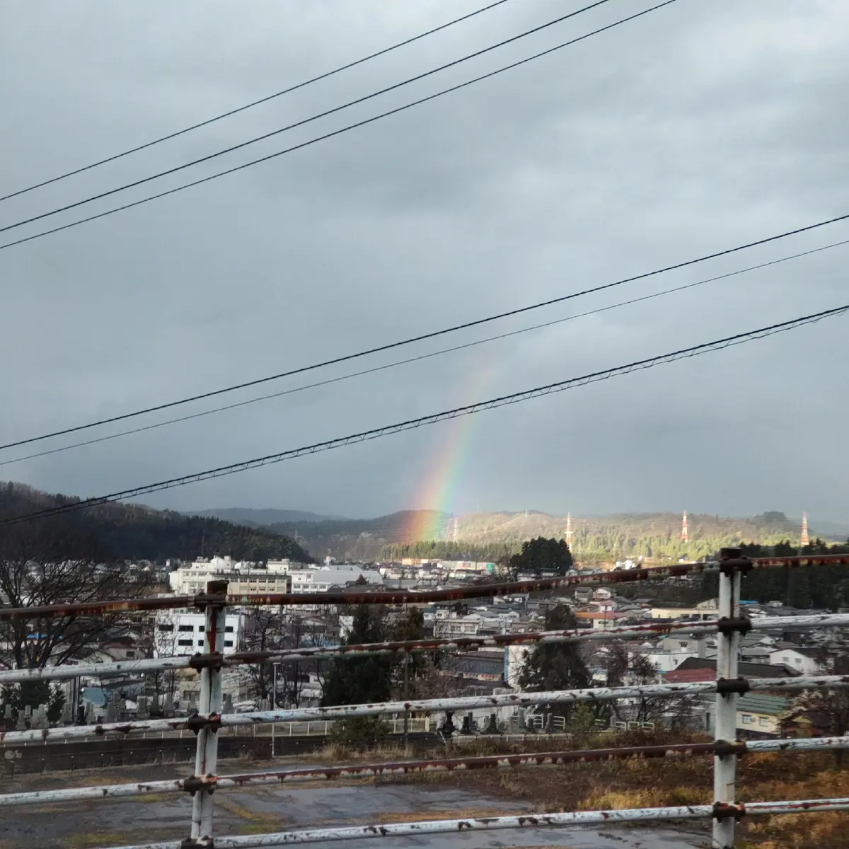 さおりさんの投稿|Lemon8