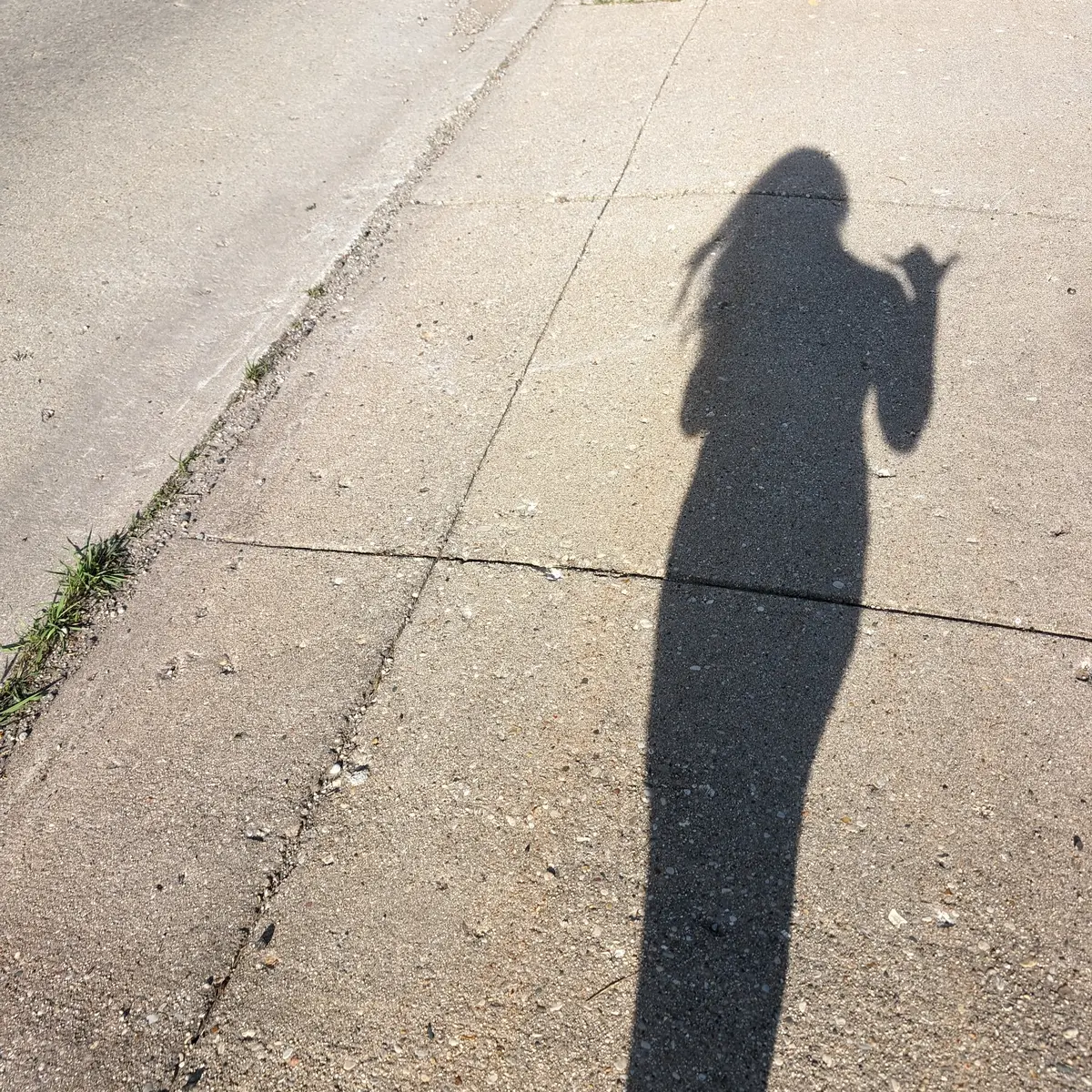 Ali Fischer's Post|Lemon8