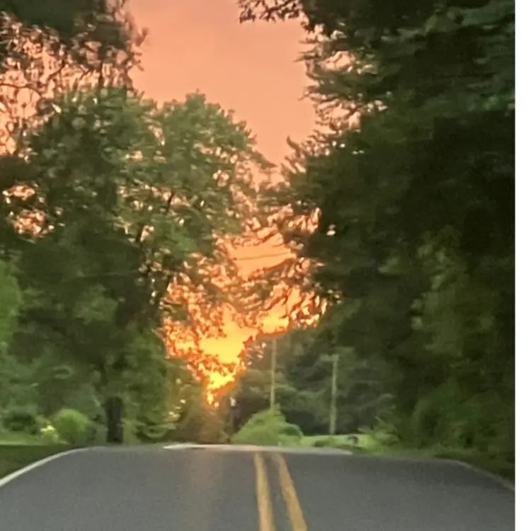 Ri-bug@13's Post|Lemon8