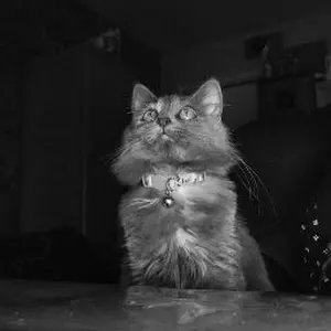 Aj Stark's Post|Lemon8