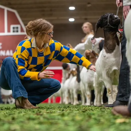 Alison Durheim's Post|Lemon8