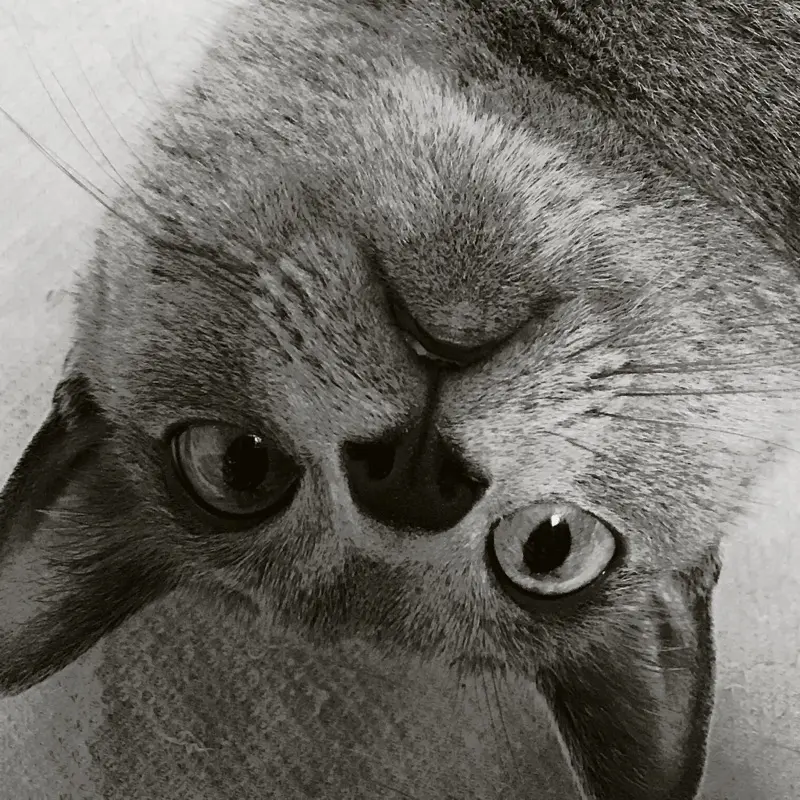 freedom さんの投稿|Lemon8