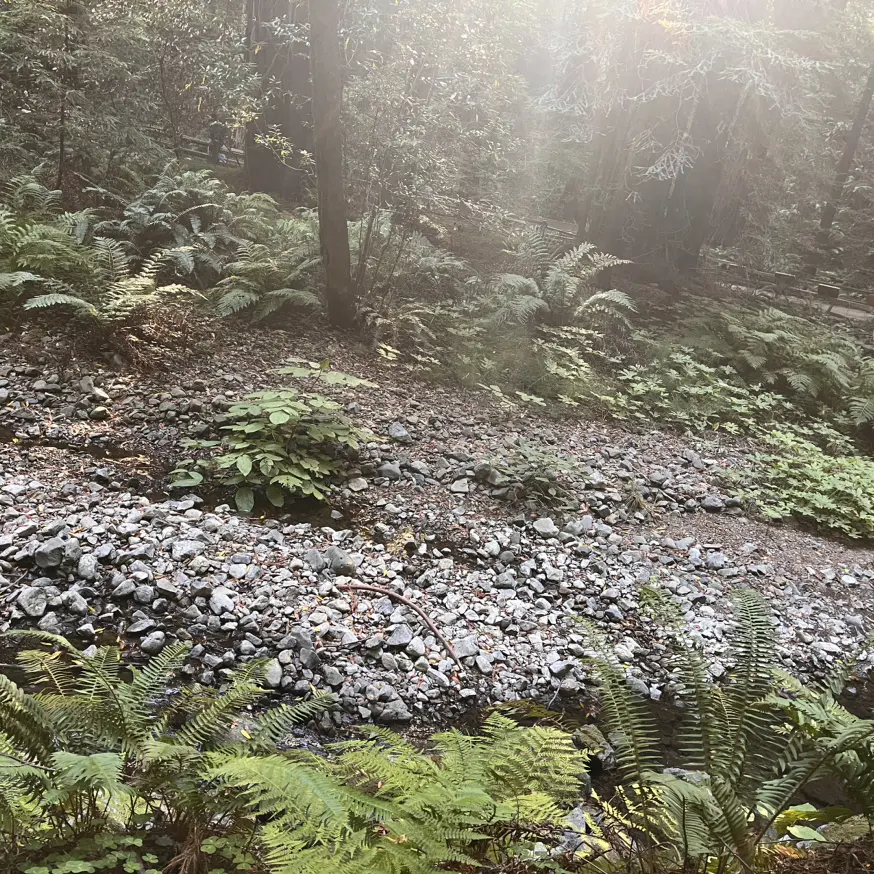 potahtoh's Post|Lemon8