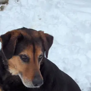 Blanche Nealさんの投稿|Lemon8