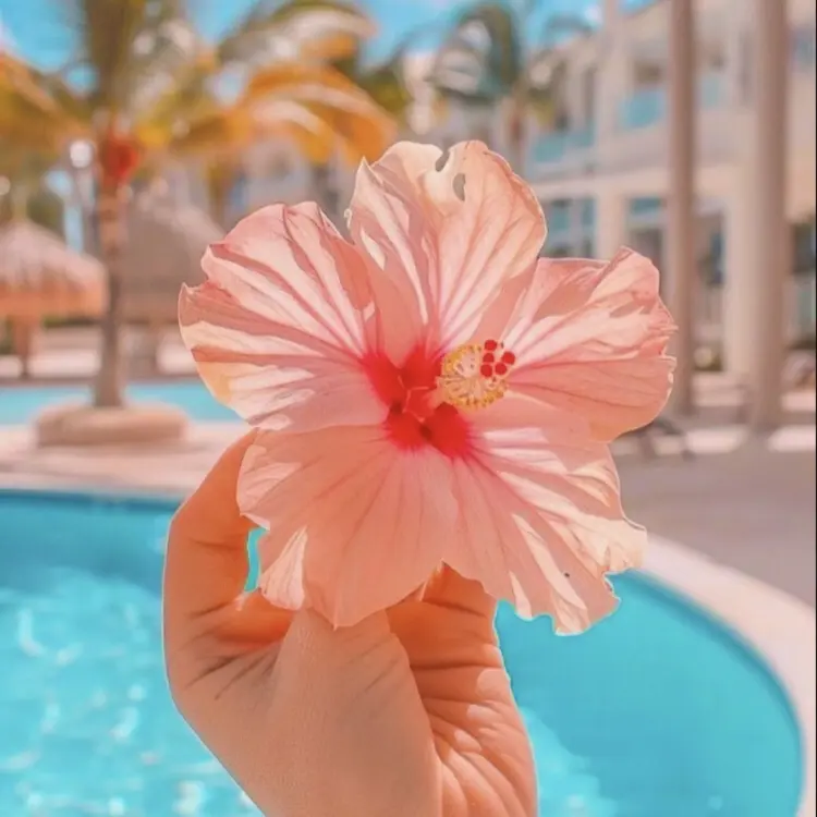 Preppy_girly's Post|Lemon8