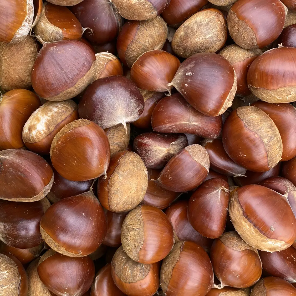 RINRINさんの投稿|Lemon8