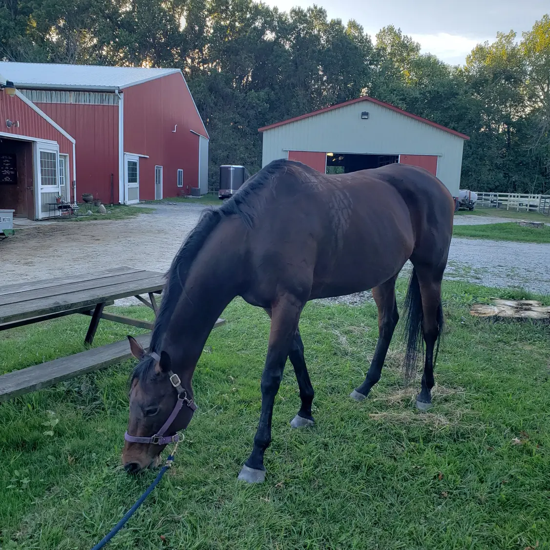 Cynthia Davulis's Post|Lemon8