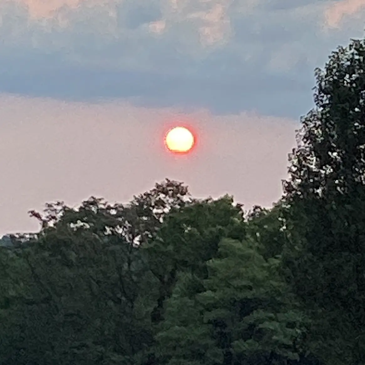 Kinley West's Post|Lemon8