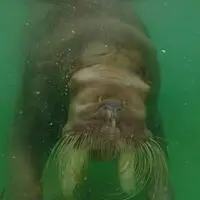 nOBさんの投稿|Lemon8