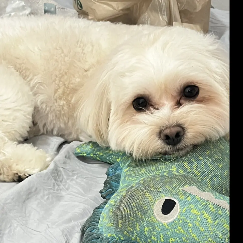 Brady’s mom's Post|Lemon8