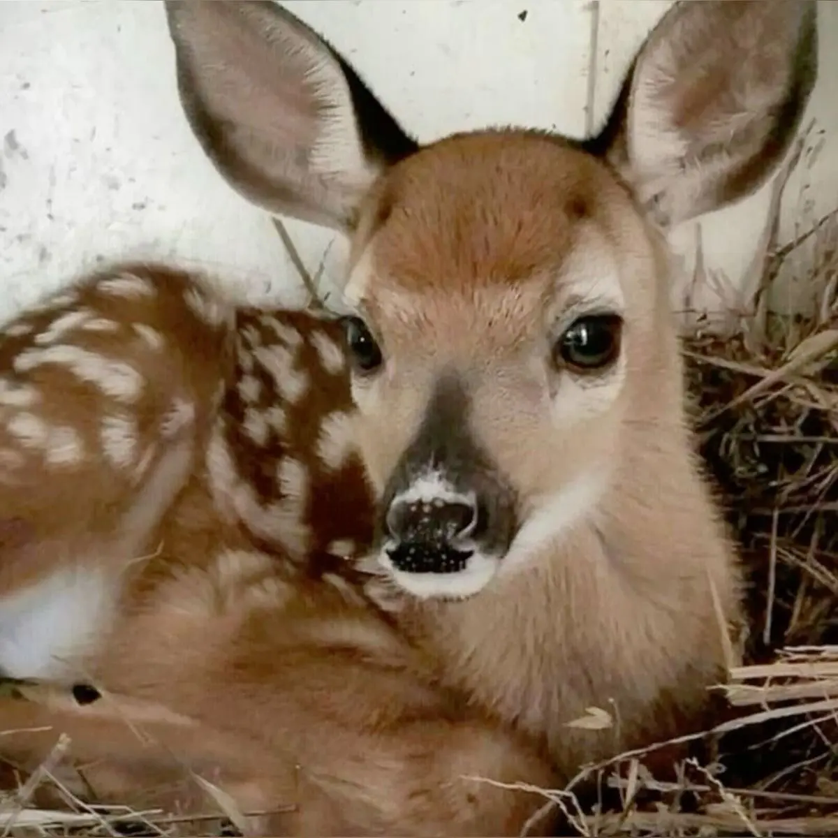 summer's Post|Lemon8